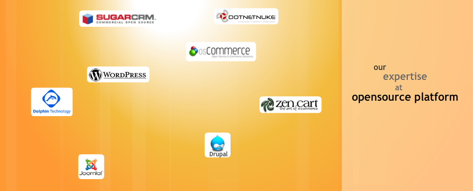 Mobile App Development Services | Custom Software Development | Internet Marketing